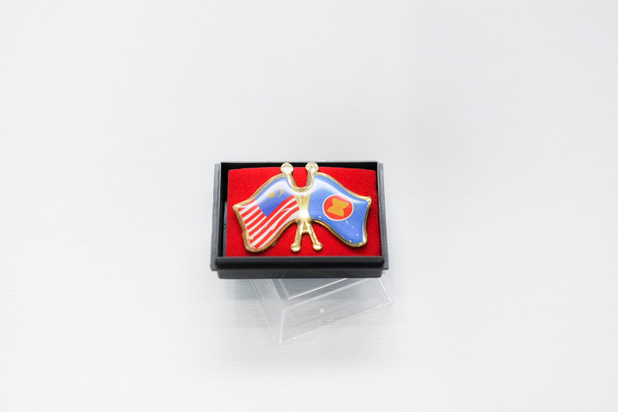 ASEAN Member States Pins - ASEAN Main Portal