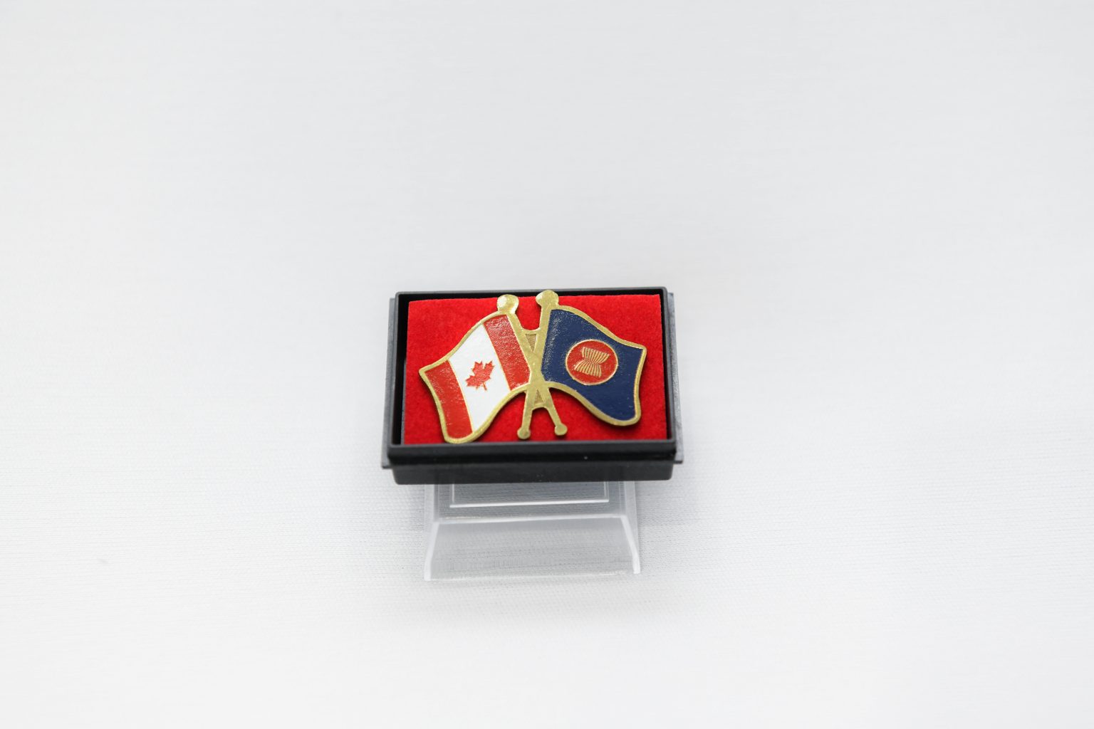 Pin ASEAN-Dialogue Partners Flag - ASEAN Main Portal